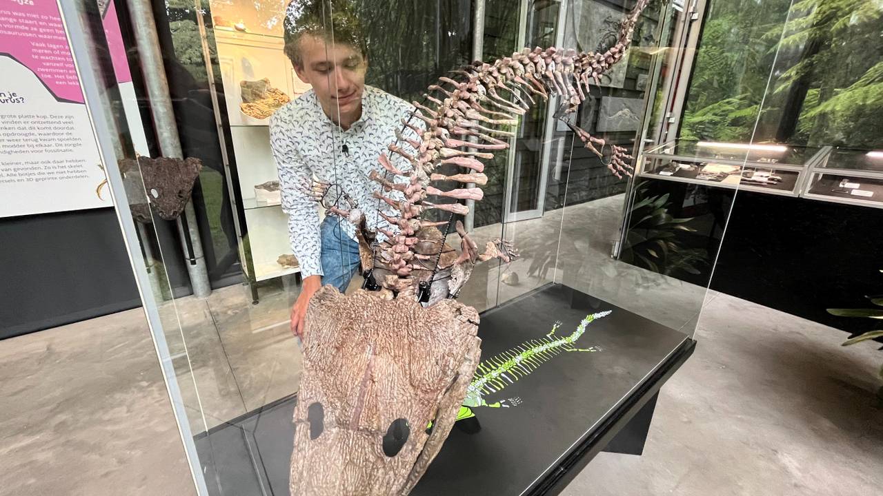 Deze 220 miljoen jaar oude mega-salamander staat nu in het ...