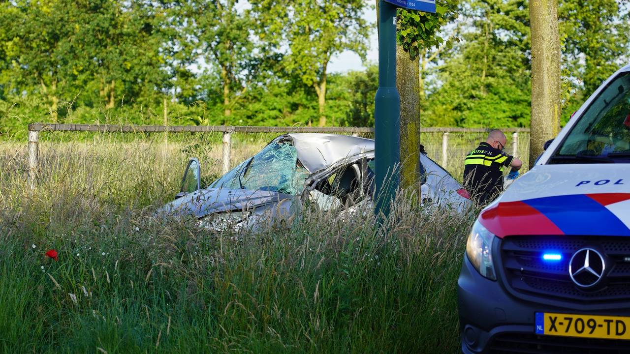 112-nieuws: zoekactie ontsnapte serval • zwaargewond na botsing tegen boom - Omroep Brabant