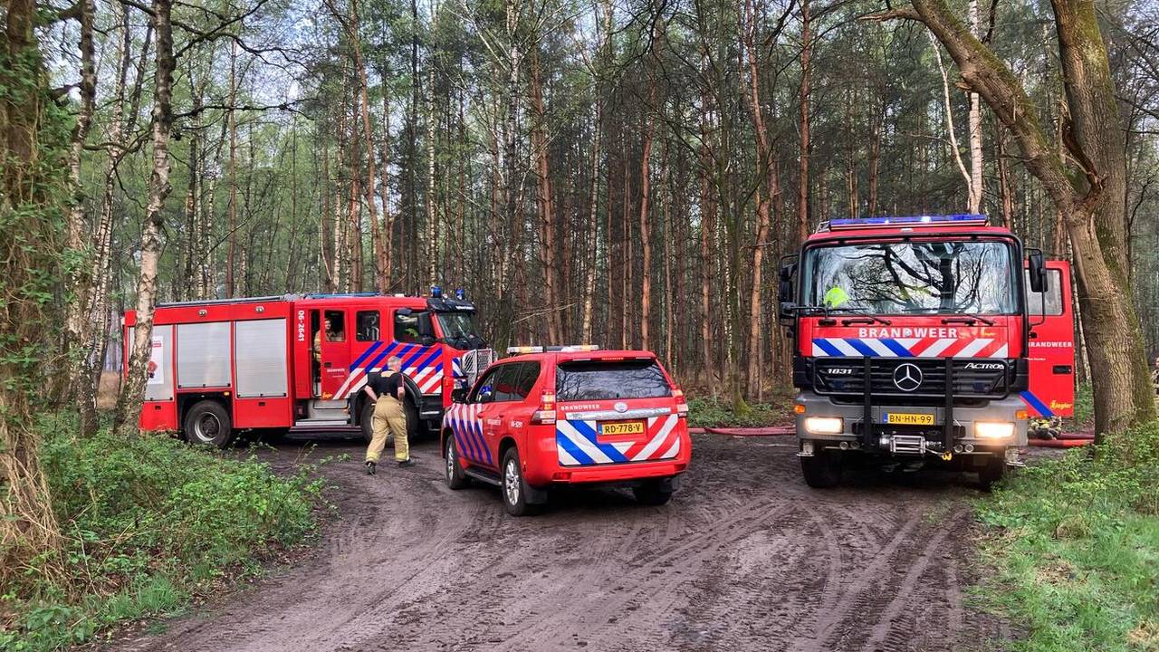 Grote bosbrand: sein brand meester gegeven • brand zit nog in de grond - Omroep Brabant
