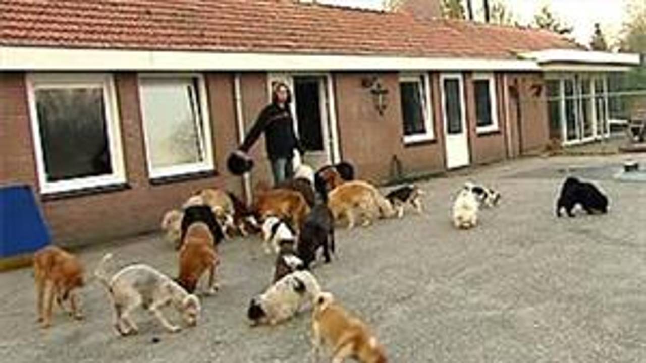 'Dierenthuis moet duidelijkheid scheppen' - Omroep Brabant