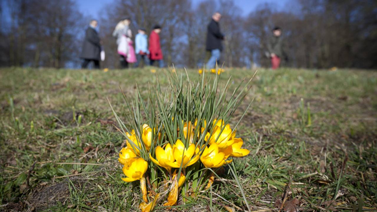 Genieten van een nieuwe heerlijke lentedag - bekijk en stuur de mooiste ...
