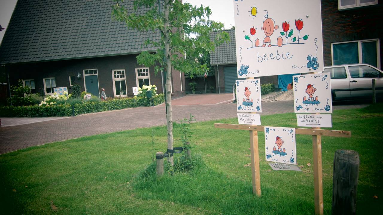 'Gezellig buurtfeest' leidt tot babyboom in De Mortel - Omroep Brabant