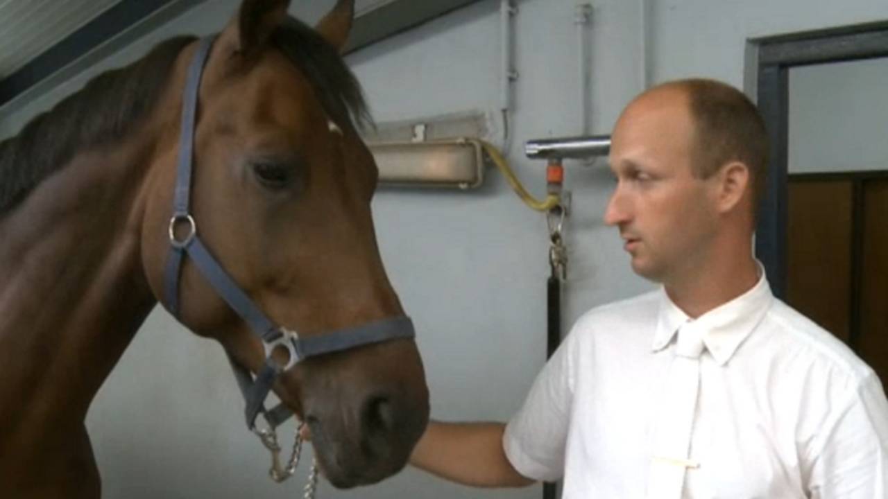 Springruiter Kuijpers verwacht geen finaleplaats Derby op Outdoor ...