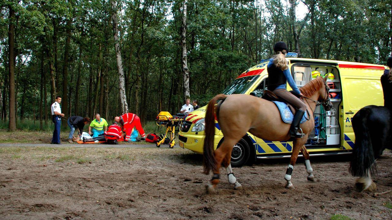 Meisje gewond na val van paard in natuurgebied Kampina Oisterwijk ...