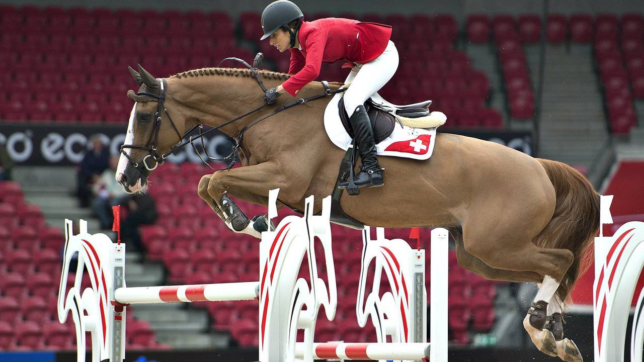 Jan Tops tast diep in de buidel: recordbedrag van 11 miljoen voor ...