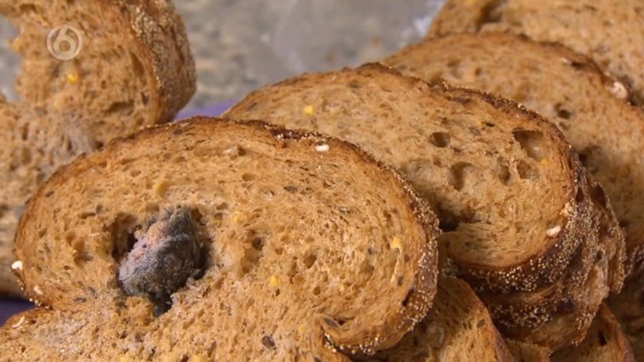 Eindhovenaar vindt dode muis in brood Albert Heijn - Omroep Brabant