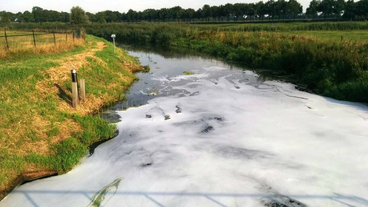 Oorzaak mysterieus schuim op rivier de Aa nog onduidelijk - Omroep Brabant
