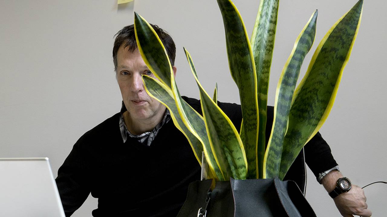 Museumdirecteur René Pingen (56) volkomen onverwacht overleden - Omroep ...