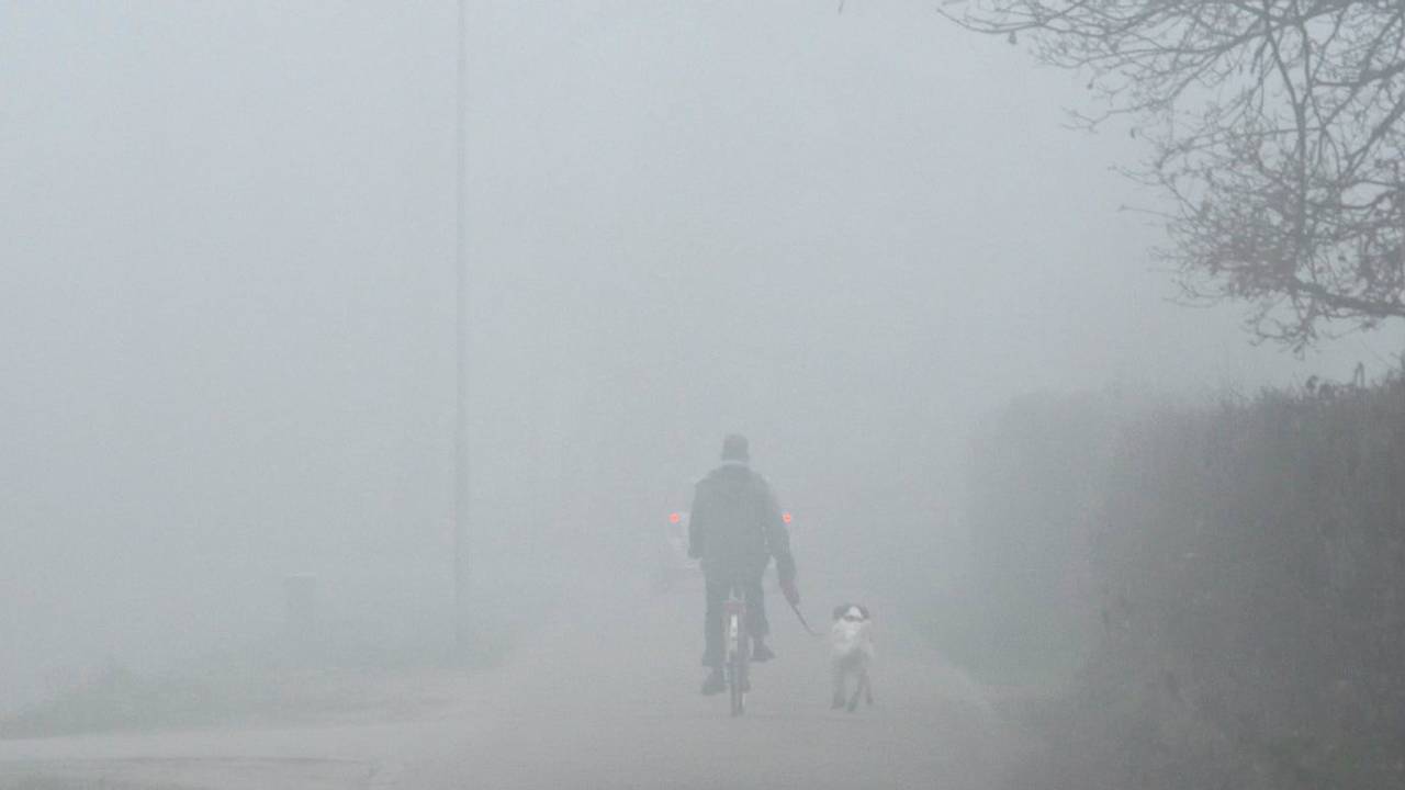 Opgepast! Code geel wegens plaatselijk zeer dichte mist - Omroep Brabant Opgepast! Code geel wegens plaatselijk zeer dichte mist - Omroep Brabant