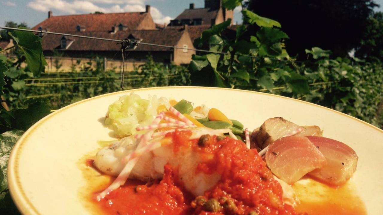 Kabeljauw met vrolijke rode saus - Omroep Brabant