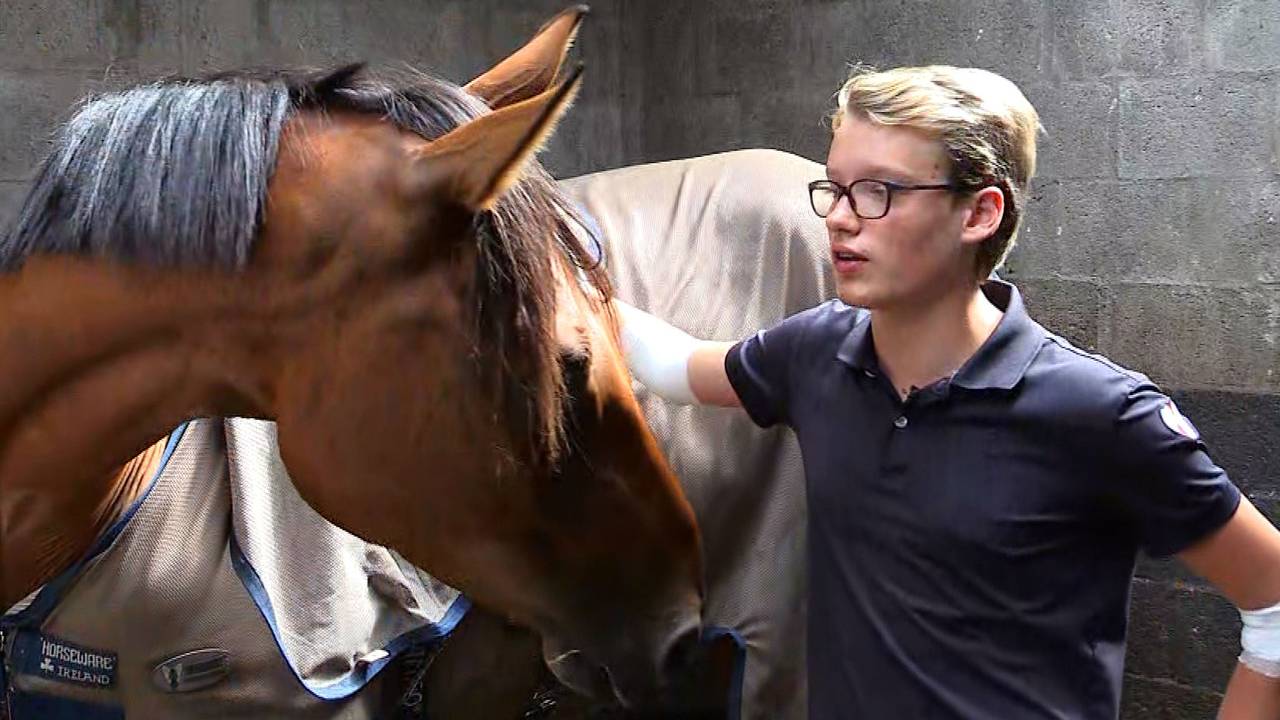 Aanhanger die ruiter Okke (15) en zijn paard verwondde, was half uur ...
