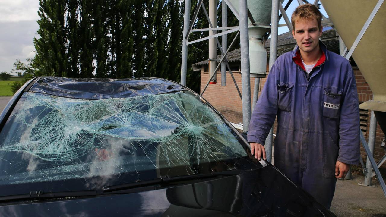 Boom waait op rijdende auto: 'Opeens zag ik hem op me af komen' - Omroep Brabant