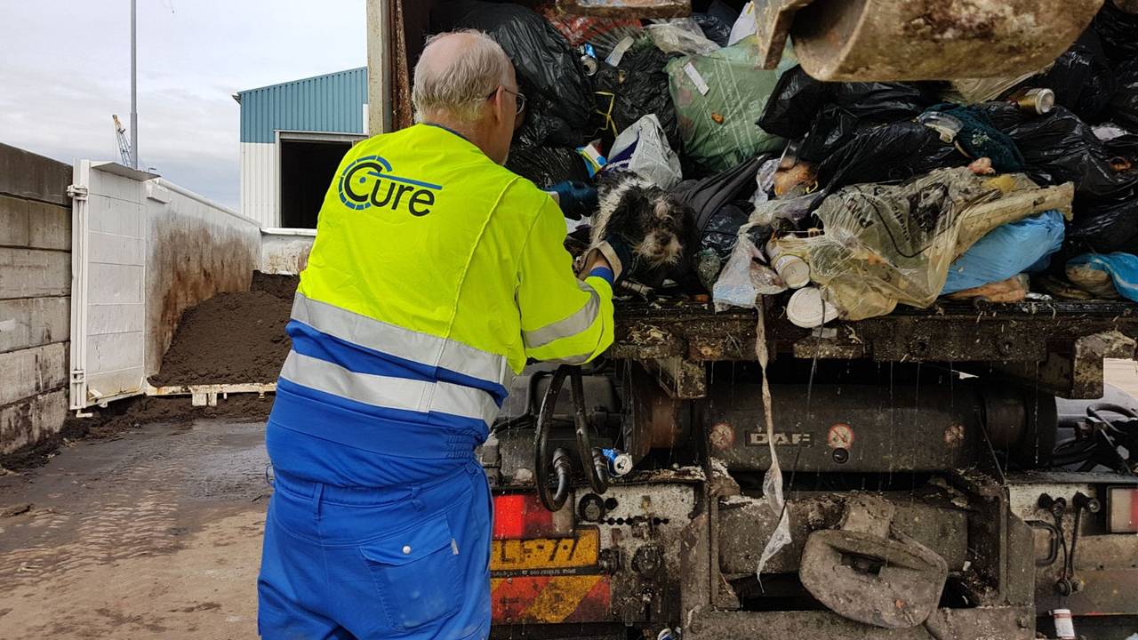 Hondje dat uit vuilniswagen werd gered, kan op 'veilig adres' tot rust komen - Omroep Brabant