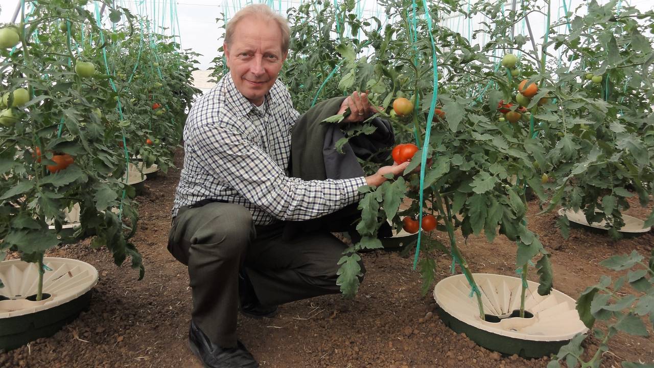 Groasis met biologisch afbreekbare emmers het meest innovatieve mkb ...