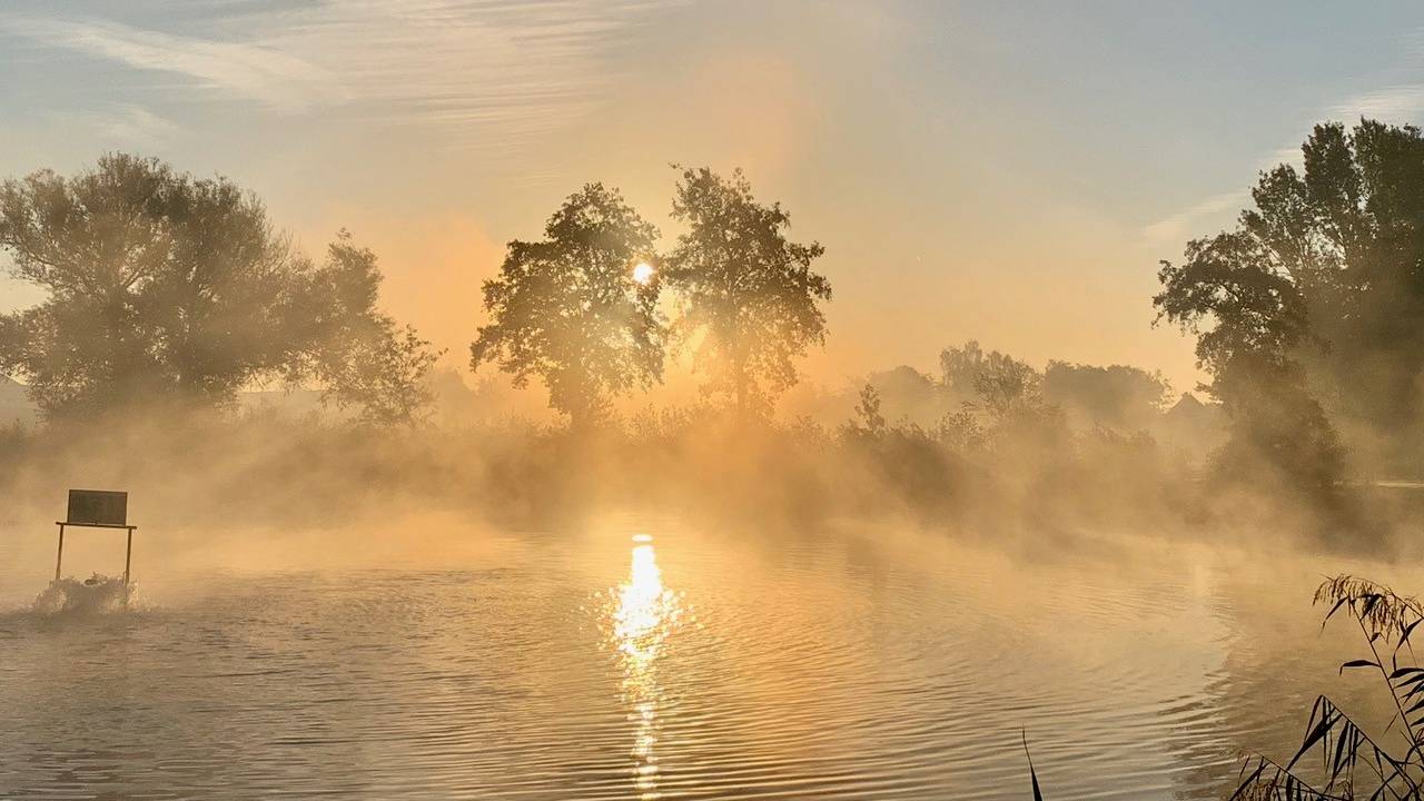 Wat was het koud én mooi vanochtend [FOTO's] - Omroep Brabant