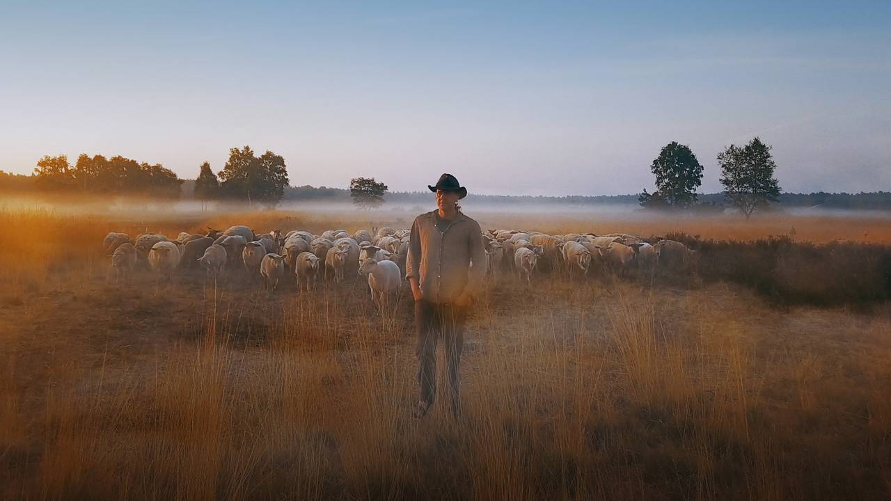 Film over Brabantse schapenherder te zien op filmfestival IDFA ...