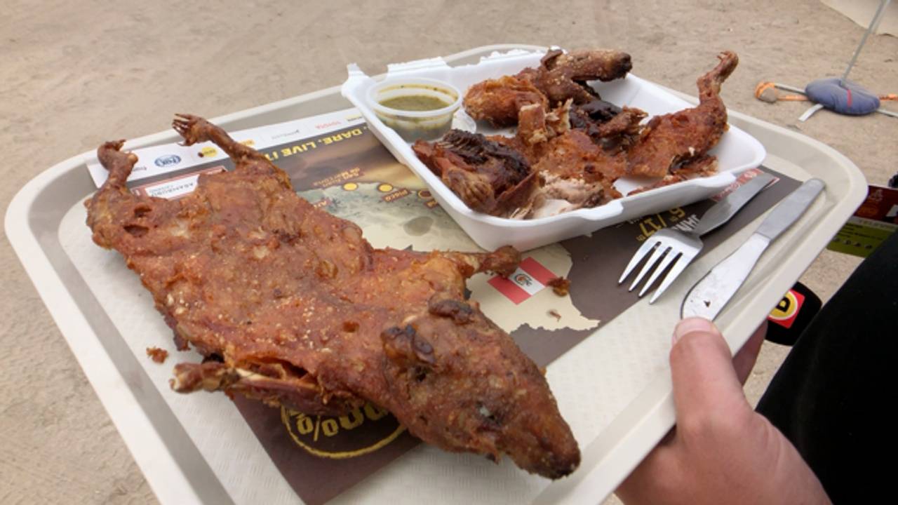 Cavia eten in Peru? Gerard de Rooy moet er niet aan denken - Omroep Brabant