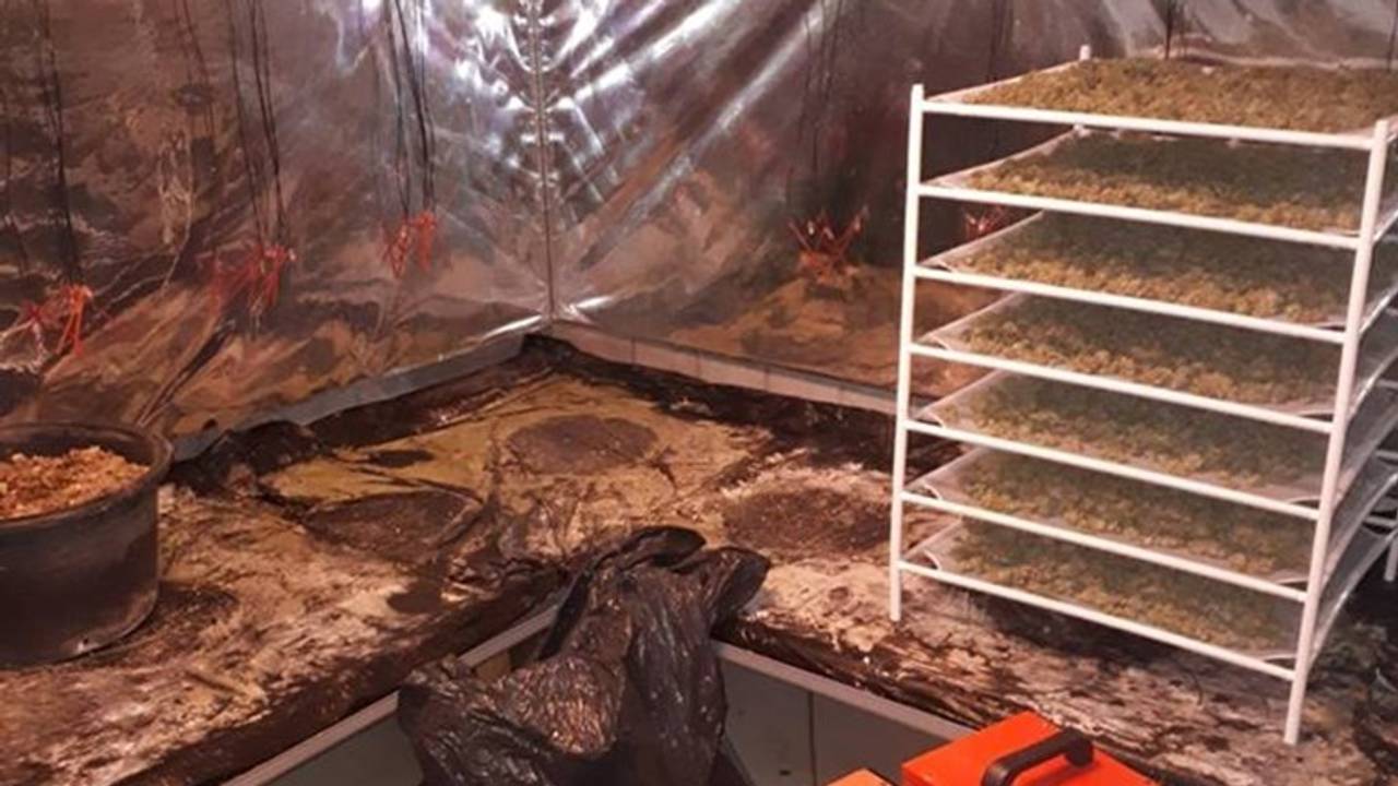 Vader Yuri van Gelder krijgt taakstraf voor 2,4 kilo wiet in huis ...
