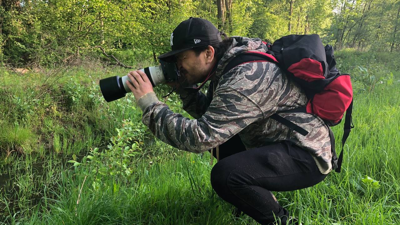 Natuurfotograaf Patrick gaat helemaal 'zen' tijdens gouden uur in de ...