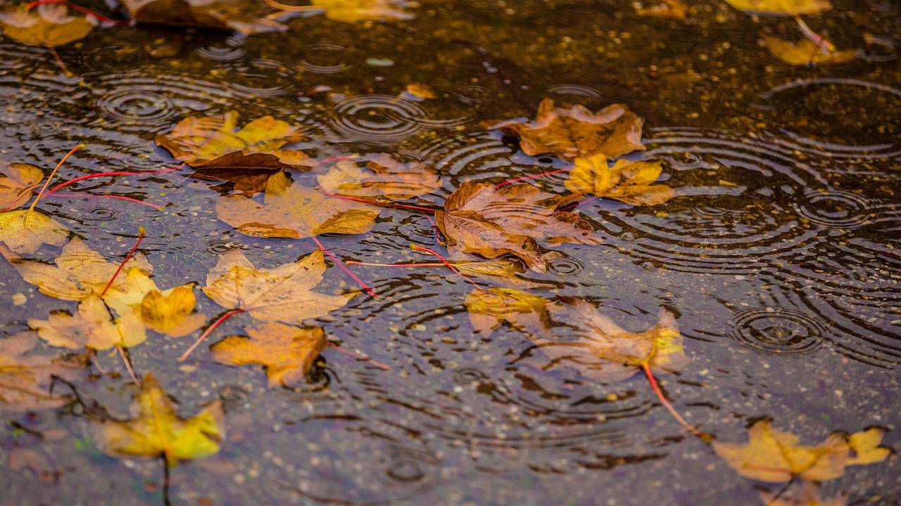 Van superhittegolf naar onstuimige herfst: regen en harde wind op komst ...