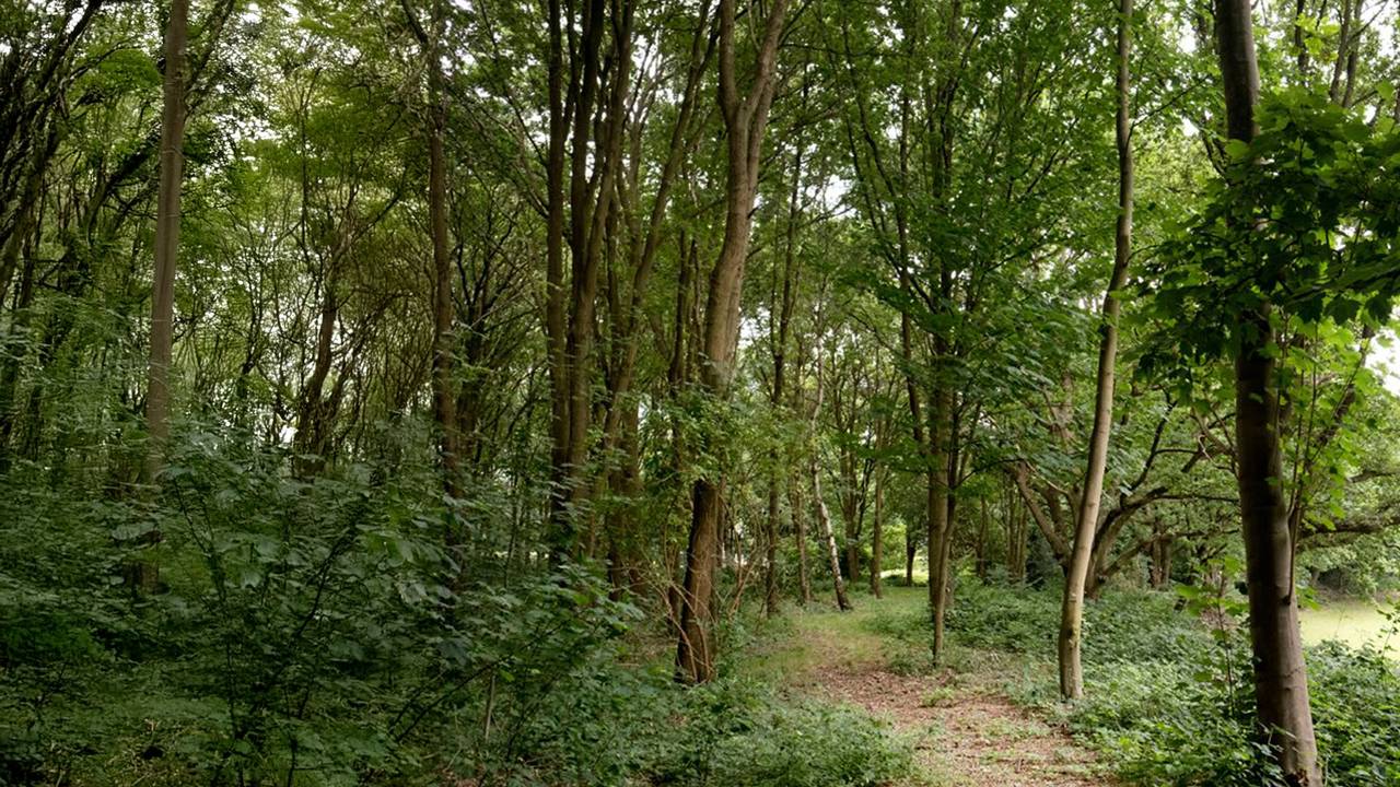 Open dag natuurgebied Dorp aan de Beek in Vessem - Omroep Brabant