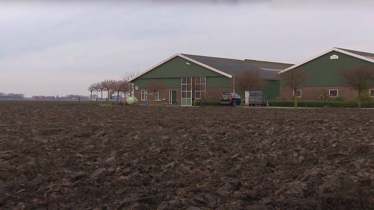 Heusden krijgt nieuwe legkippenstal met luchtwasser - Omroep Brabant