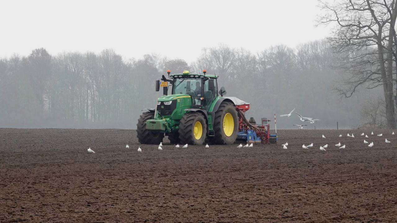Vergunningsaanvraag natuurvijver Sint-Michielsgestel ingetrokken ...