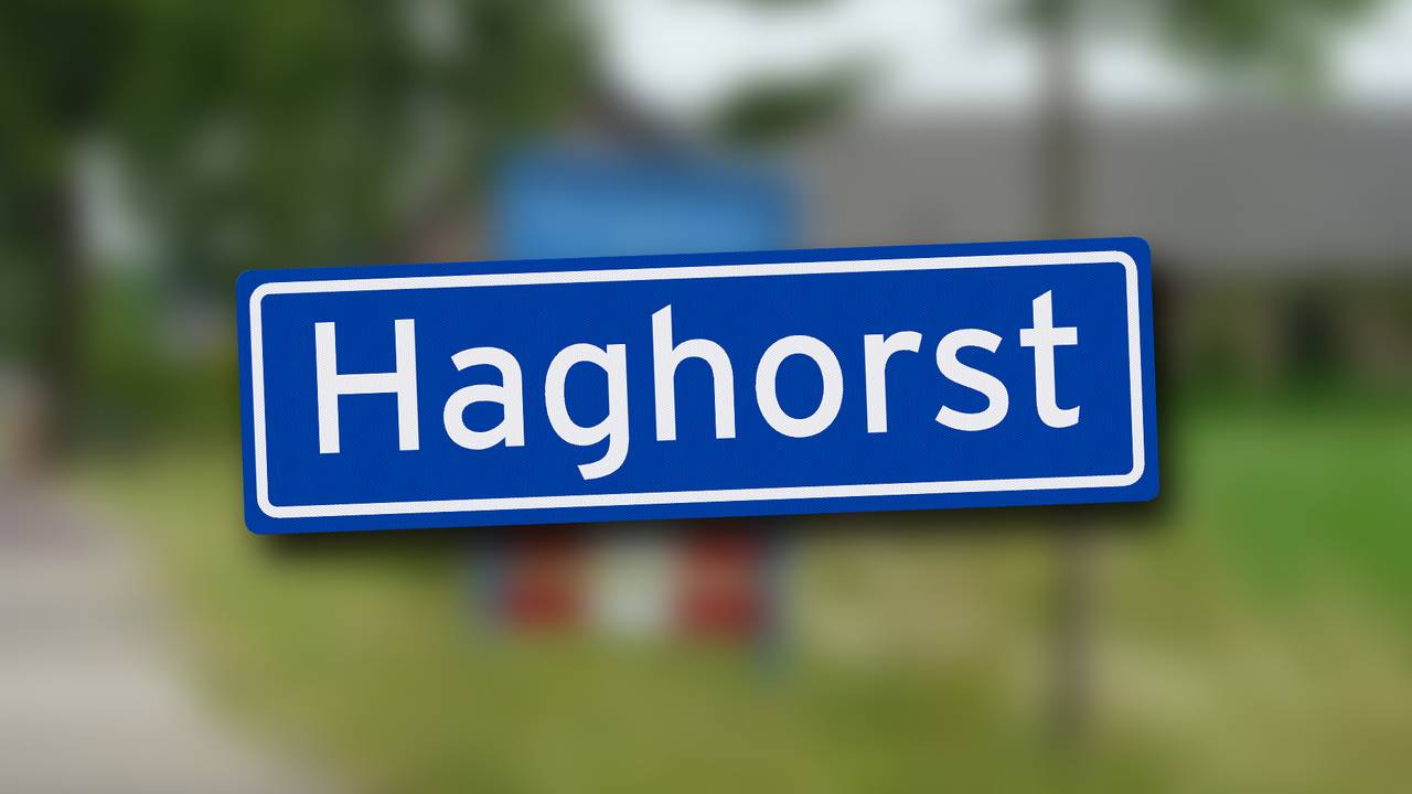 Vergunningsaanvraag voor het kappen van eik in Haghorst - Omroep Brabant