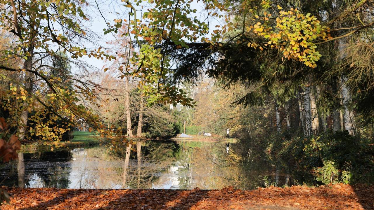 Lustwarande 2026 mag doorgaan in Park De Oude Warande, Tilburg - Omroep ...