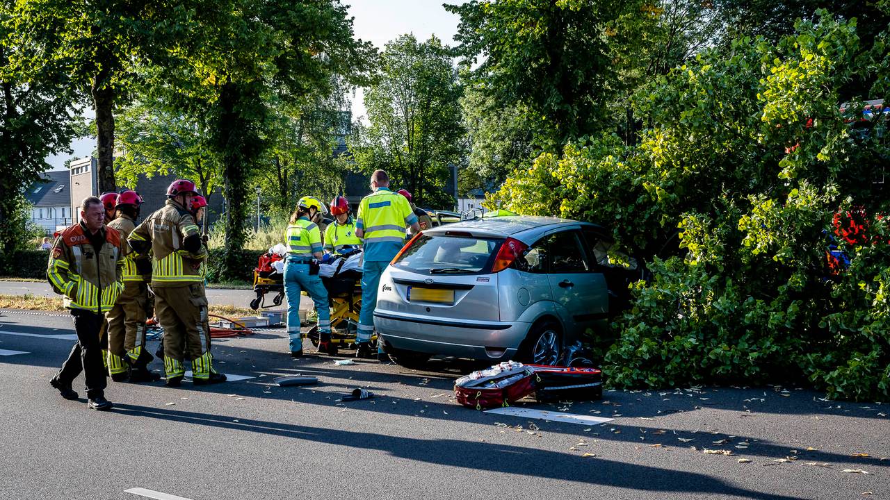 Automobilist zwaargewond na botsing, deel van boom breekt af door klap - Omroep Brabant