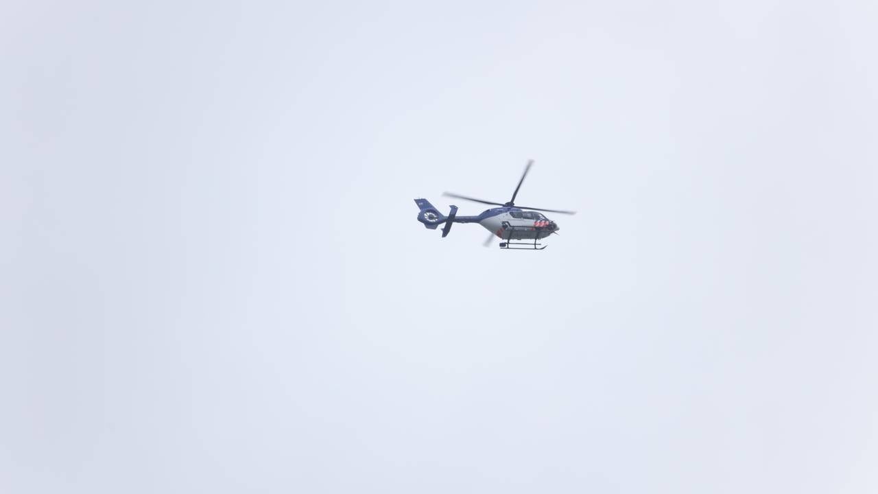 Dode (18) en drie zwaargewonden bij ongeluk in Ledeacker - Omroep Brabant Dode (18) en drie zwaargewonden bij ongeluk in Ledeacker - Omroep Brabant