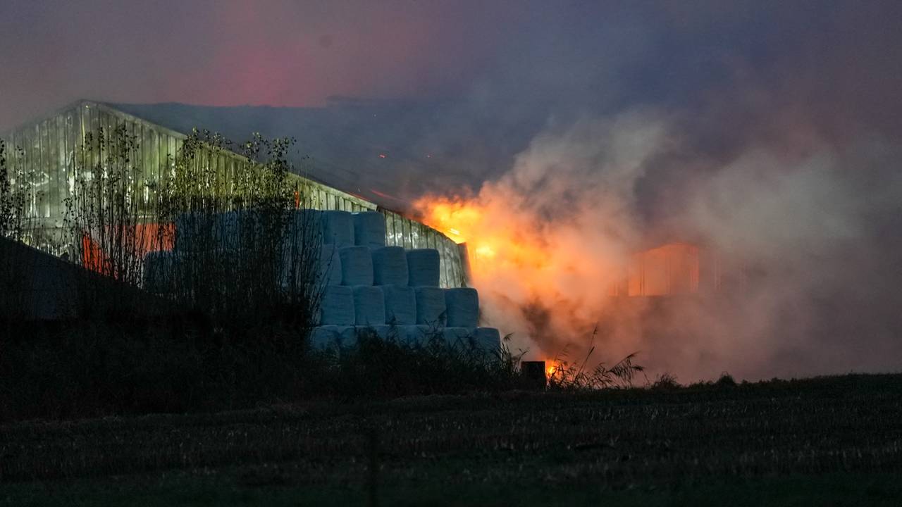Honderden geiten dood bij grote brand in een stal - Omroep Brabant