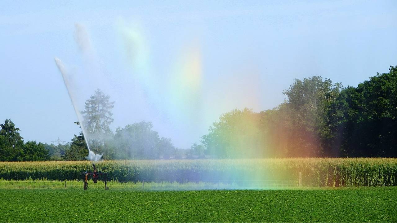 Waterschap De Dommel verlengt deel van sproeiverbod - Omroep Brabant
