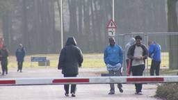 Brabant Nieuws - Omroep Brabant