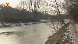 Dode ree vastgevroren in ijs Oisterwijk - Omroep Brabant