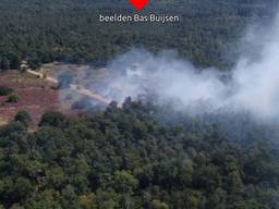 Omroep Brabant - Omroep Brabant