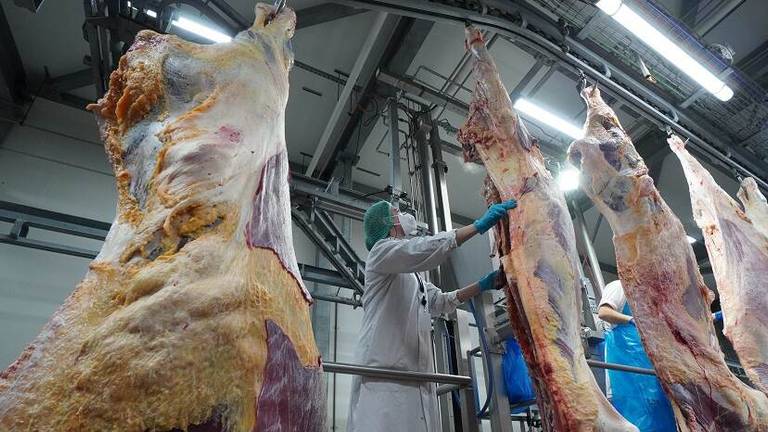 Boetes voor misstanden bij het slachthuis van Vion in Boxtel - Omroep ...