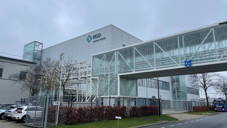 Steeds meer huisdieren in de wereld en dus is er een nieuwe ...