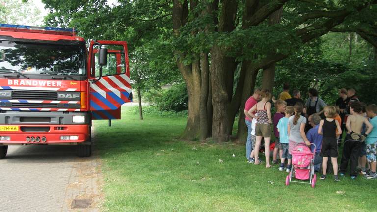 Brandweer bevrijdt jongen uit boom in Asten - Omroep Brabant