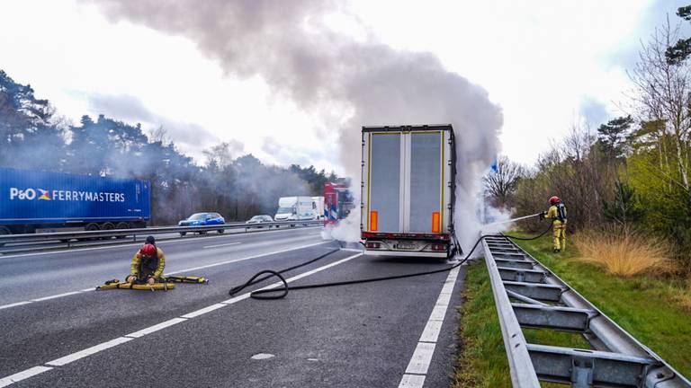 Omroep Brabant - Omroep Brabant