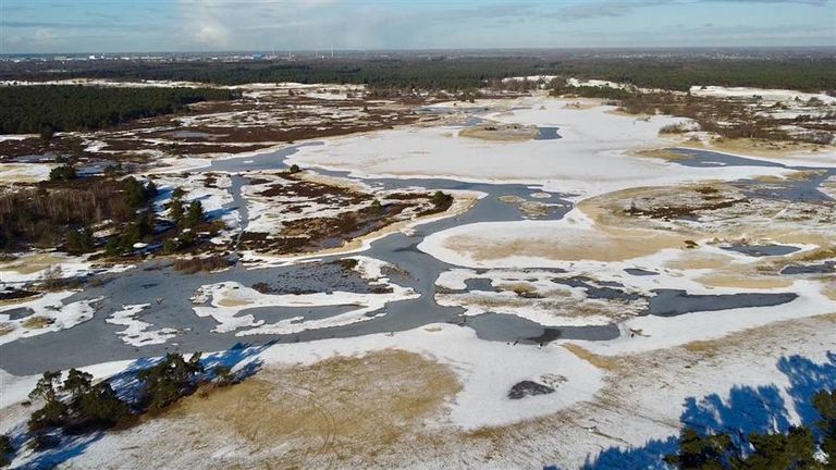 Grote watervlakte in de Drunense Duinen door de regen: 'Nog nooit ...
